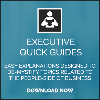 Performance Success Plan - Excelerant